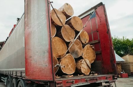 Transportation of pine logs in a truck. Wood transportation. - Stock ...