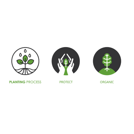 Vector of Planting process infographic. - ID:1-111943136 - Royalty Free ...
