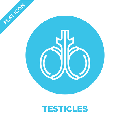 Vector of testicles icon vector from - ID:1-123240089 - Royalty Free ...