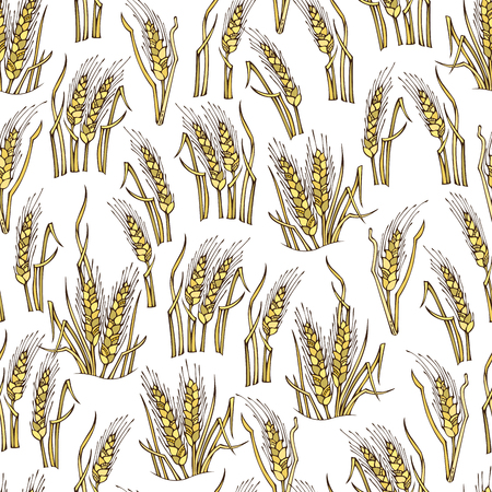 Vector seamless wheat pattern. Hand-drawn wheat on white background ...