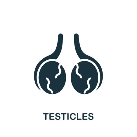 Vector of Testicles icon. Simple element - ID:1-160155821 - Royalty ...