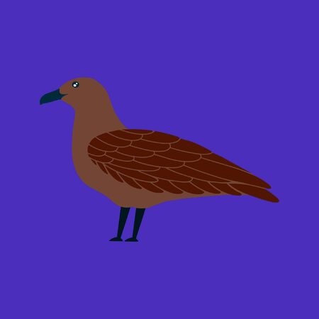 Vector illustration of skua in a flat style. Atlantic seabird. Cartoon ...
