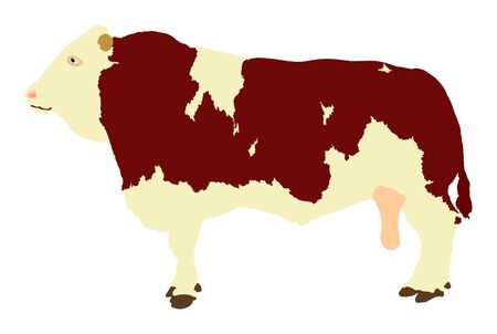 Vector of Standing adult bull vector - ID:1-128226768 - Royalty Free ...