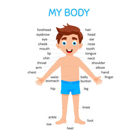 Vector of My body poster. Cute kid boy - ID:1-155589759 - Royalty Free ...