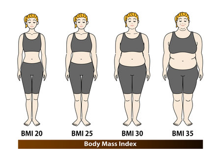 Ilustración del Fat woman body types. Before - ID:1-198903624 - Imagen ...