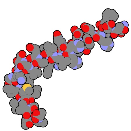 Photo of Chemical structure of amyloid - ID:1-13696153 - Royalty Free ...