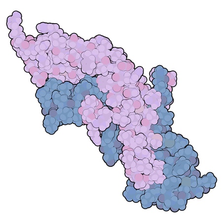 Photo of Chemical structure of a Human - ID:1-13696173 - Royalty Free ...