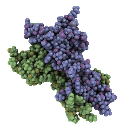 Photo of Chemical structure of a nerve - ID:1-16083533 - Royalty Free ...