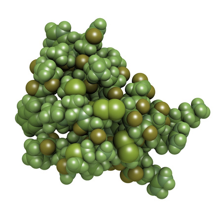 Photo of Chlorotoxin scorpion toxin. - ID:24079259 - Royalty Free Image ...