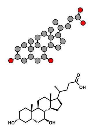 Vector of Ursodiol (ursodeoxycholic - ID:1-28862549 - Royalty Free ...