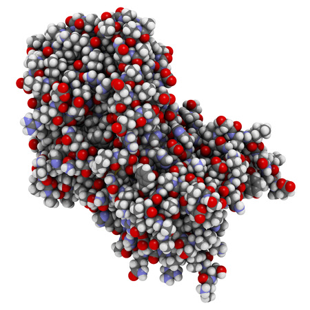 Photo of alpha 2-antiplasmin - ID:1-36765873 - Royalty Free Image ...