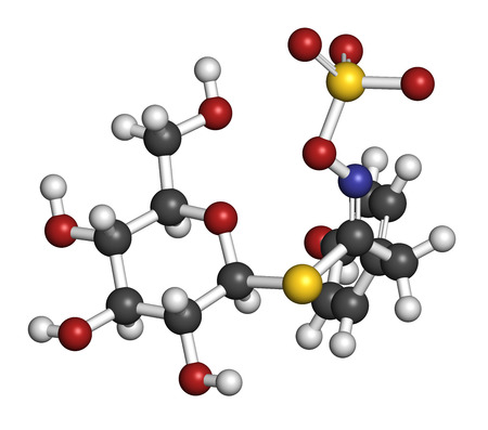 Photo of Sinalbin glucosinolate - ID:1-57805563 - Royalty Free Image ...