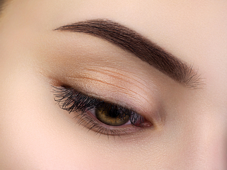 Close up view of beautiful brown female eye. Perfect trendy eyebrow ...