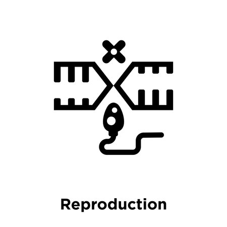 Vector of Reproduction icon vector - ID:112624431 - Royalty Free Image ...