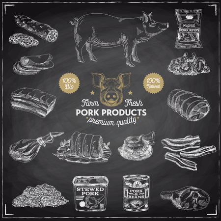 Vector hand drawn Illustration with meat products. Pork meat. Sketch ...