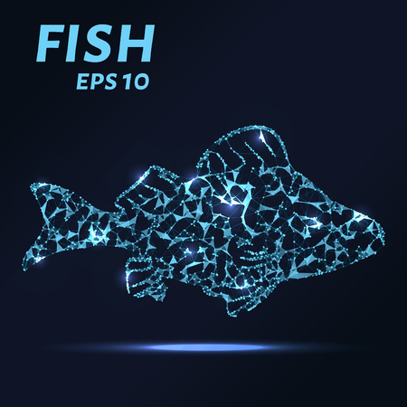 Fish consists of points, lines and triangles. The polygon shape in the ...