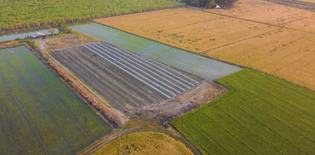 Aerial view from drone The field soil reclamation in preparation for ...