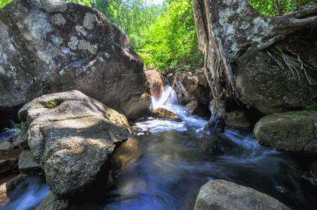 The soft stream is flowing through the rocks,The behind is fresh green ...