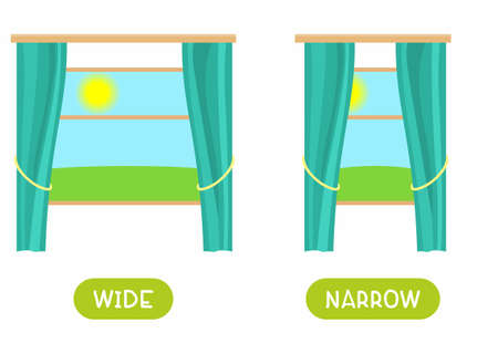 Vector of Antonyms concept, WIDE and - ID:156904074 - Royalty Free ...