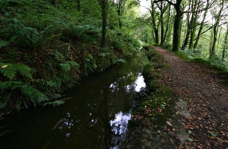This stream which runs through the Luxulyan valley near St Austell in ...
