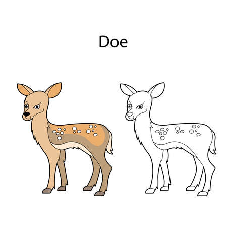 Vector of Funny cute animal doe isolated - ID:1-172238020 - Royalty ...
