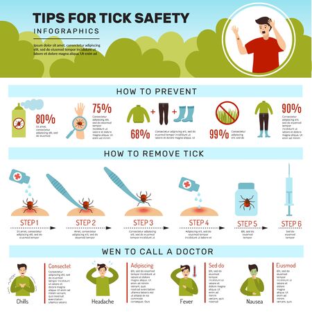 Vector of Tick bite. Infographic of - ID:146622286 - Royalty Free Image ...