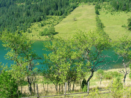 Tara, Lake, forest and meadows, Tara National Park, Serbiaの写真素材 ...