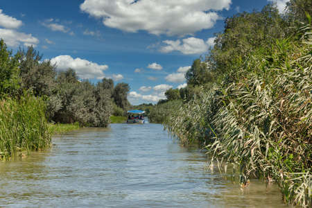 Danube biosphere reserve Ankudinovo river summer landscape near Vilkove ...
