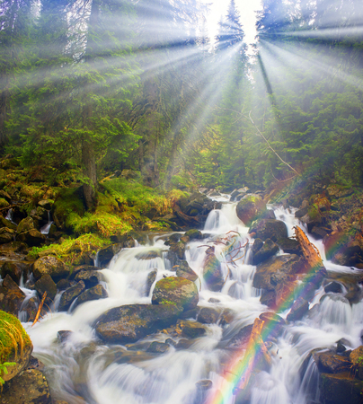 River at sunrise in the Carpathian forest - fast jet of water at slow ...