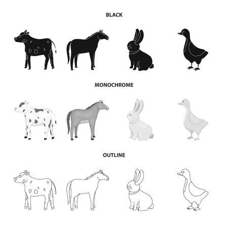 Vector illustration of breeding and kitchen. Collection of breeding and ...