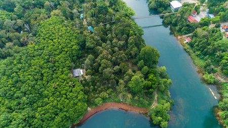Drone bird's eye view of landscape beautiful rainforest. - Stock Image ...
