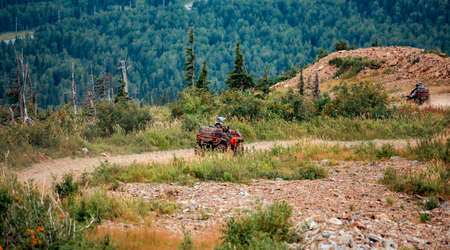 ATV bike group rides through forest off-road in trip summer - Stock ...