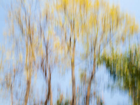 Abstract background , Abstract wallpaper , Abstract forest , Abstract ...