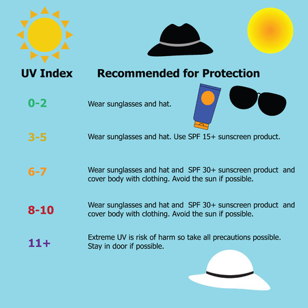 Vector of Infographic for protection - ID:1-55503775 - Royalty Free ...