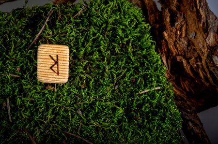 Photo of Raido rune, inverted position. - ID:1-161449428 - Royalty Free ...