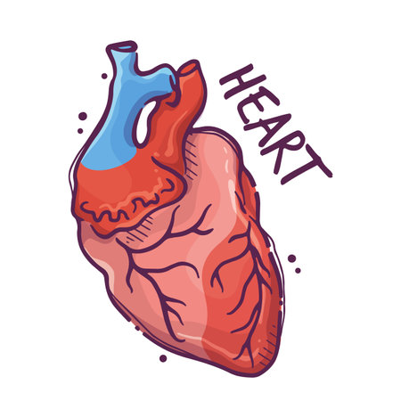 Vector of Heart. Animals and human - ID:1-192222186 - Royalty Free ...