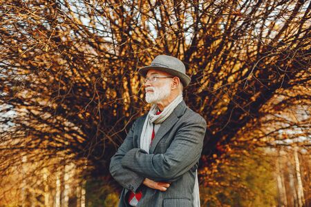 Elegant old man in a sunny autumn park - Stock Image - Everypixel