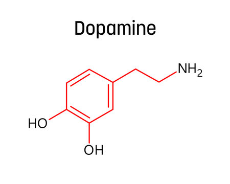 Vector of Dopamine molecular structure. - ID:1-195199692 - Royalty Free ...