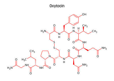 Vector of Oxytocin molecular structure. - ID:1-195234377 - Royalty Free ...