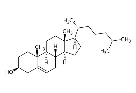 Vector of Cholesterol molecular - ID:1-195292770 - Royalty Free Image ...