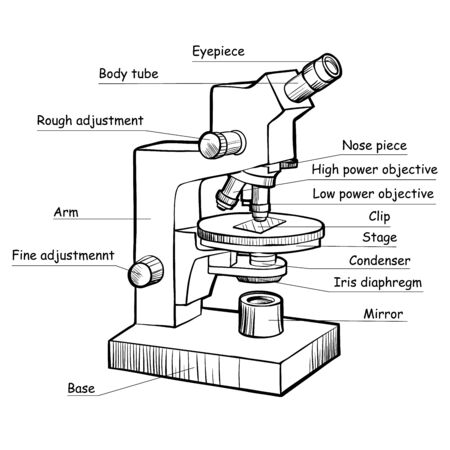 Microscope parts Images - Search Images on Everypixel