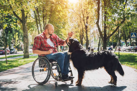 Happy young man with a physical disability in a wheelchair with his dog ...
