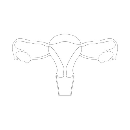 Vector of female reproductive system, - ID:1-66001684 - Royalty Free ...