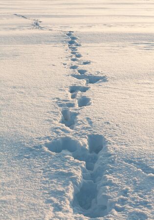footprints in the snow stretching into the distance - Stock Image ...