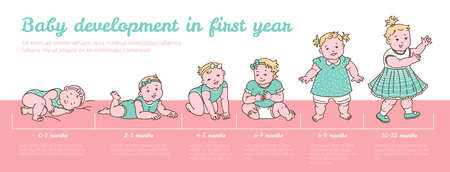 Vector of Baby growth chart - cartoon - ID:155692619 - Royalty Free ...