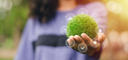 Technology joins hands with environment icons through network ...