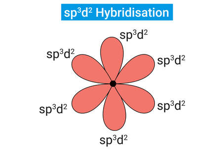 Vector of Sp3d2 Hybridization has 1s, 3p - ID:1-187733398 - Royalty ...