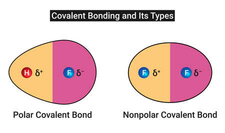 Vector of Covalent Bonding and Its Types - ID:1-190853013 - Royalty ...