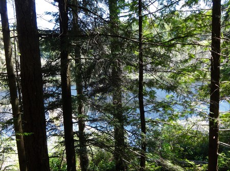 Pine Lake view through woods on Chuckanut mountain near Bellingham ...