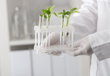 Plant growth lab Images - Search Images on Everypixel